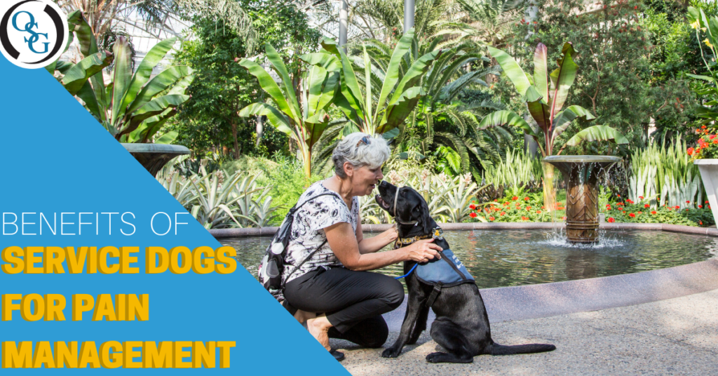 Service Dog for Fibromyalgia Benefits in Pain Management and Therapy